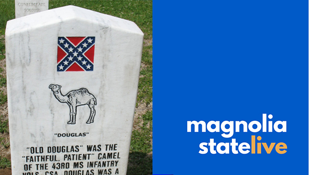 Camels in the Civil War? Mississippi author pens book about history of ...