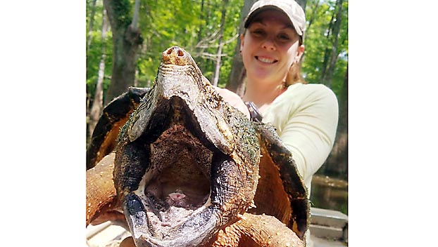 Prehistoric-looking creatures lurking in southern swamps, alligator ...