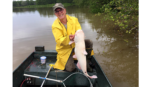 Fishermen taken aback when they pull out rare albino catfish from ...