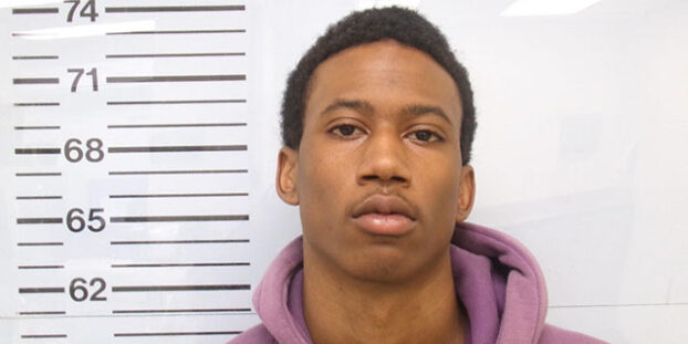 Citizen's alert to officers about individuals pulling on car handles at ...